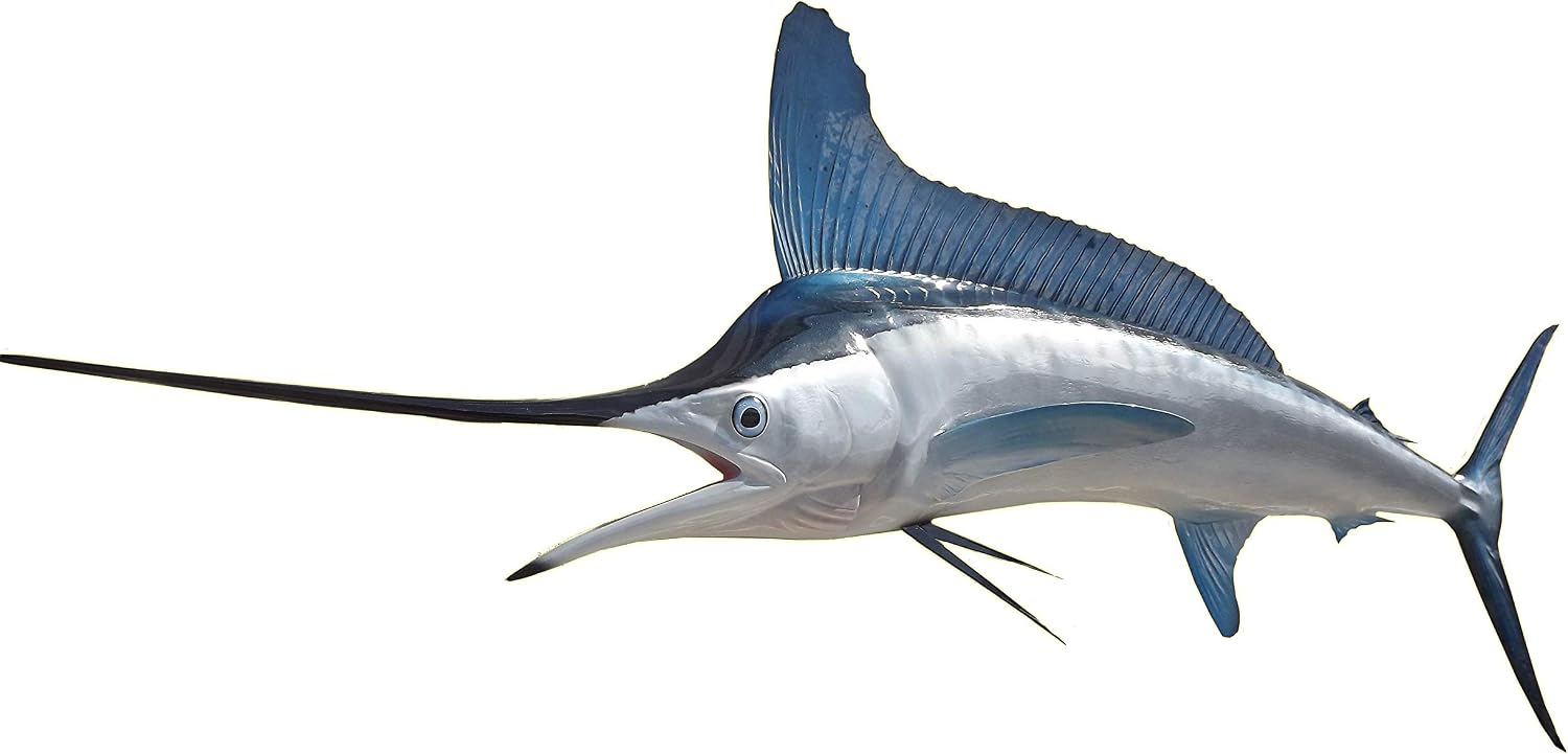 Amazon.com: 75 Inch White Marlin Half Sided Fish Mount Replica ...
