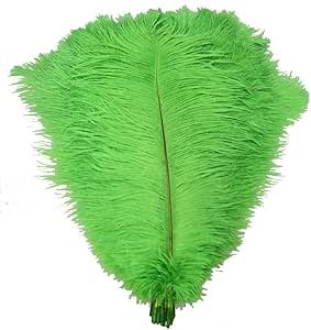 Amazon.co.jp: WIBEN Set of 20 12-14 Inch Natural Ostrich Feather Ploom ...