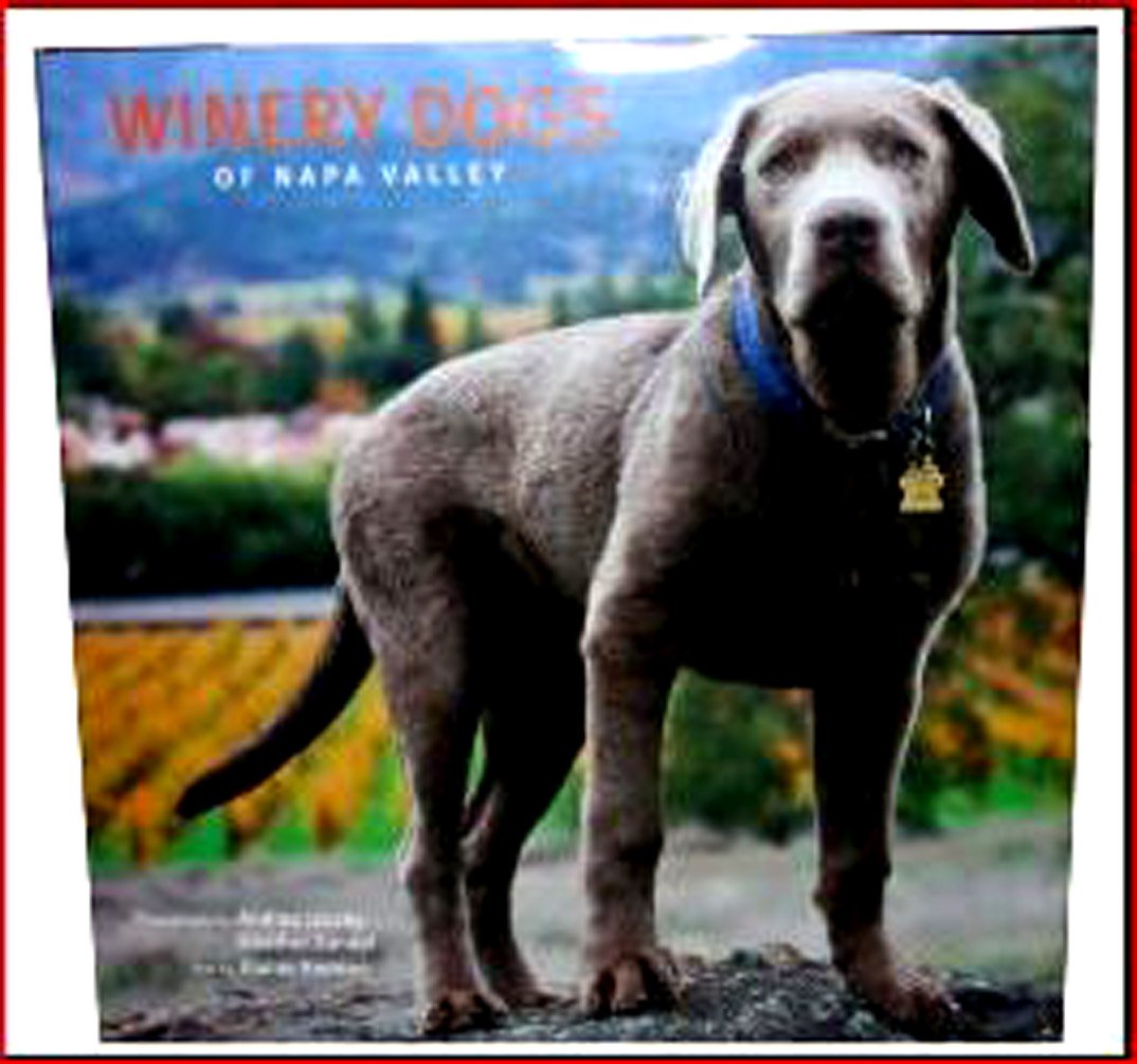 Winery Dogs of Napa Valley: Elaine Riordan: 9780977304134: Amazon.com ...
