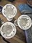 Amazon.com: Pentair 618040 Adapter for MicroBrite to be Installed into ...