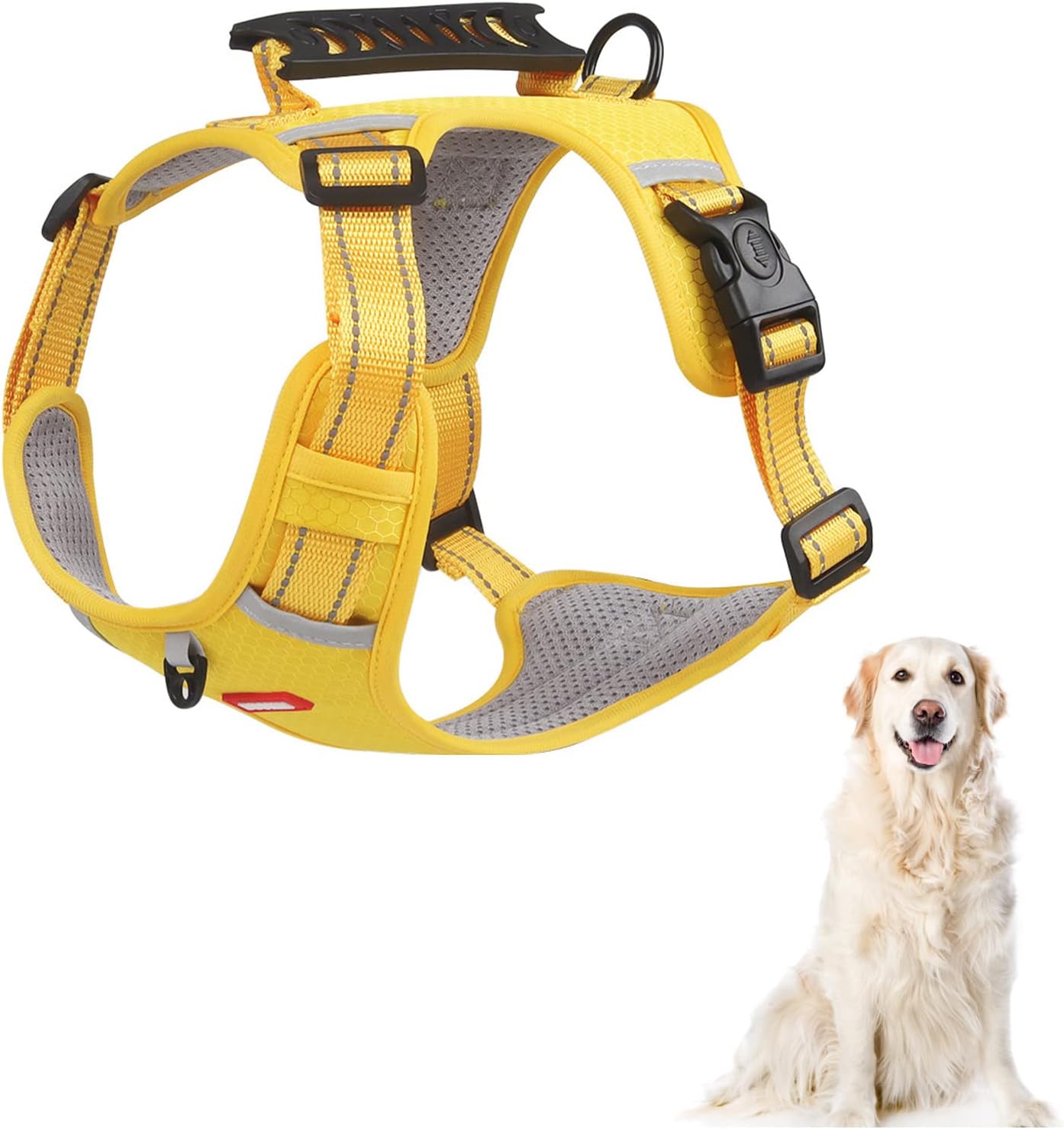Amazon.com : Pet Chest Strap Explosion-Proof Big Dog Chest Strap ...