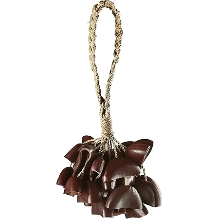 Amazon.com: Bendo Seed Shell Shaker — Creates a Soft Soothing Sound for ...