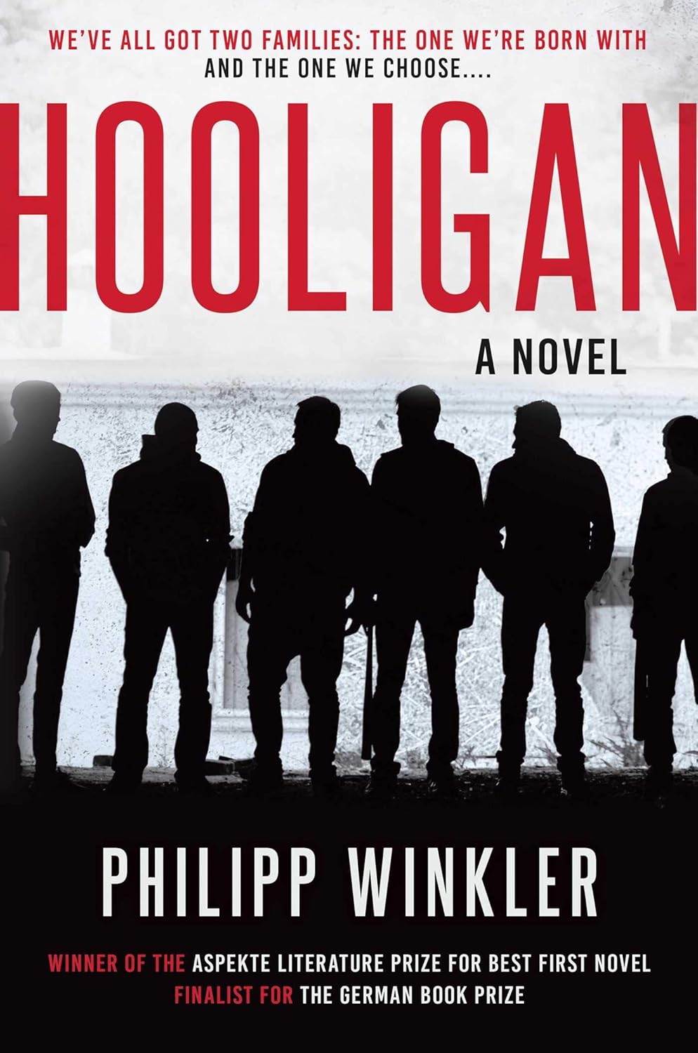 Hooligan: A Novel: Winkler, Philipp, Schmidt, Bradley: 9781628728675 ...