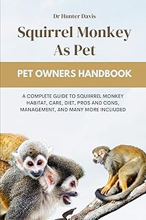 Is It Possible To Neuter A Monkey And Why Would You Want To? | PetShun