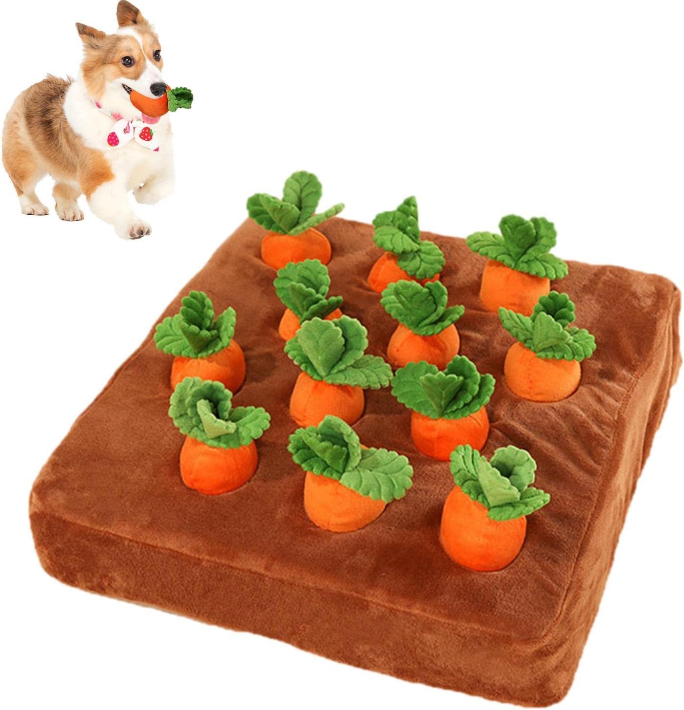 Fouille Chien Carotte - Jouet Interactif pour Chiens avec Fond ...