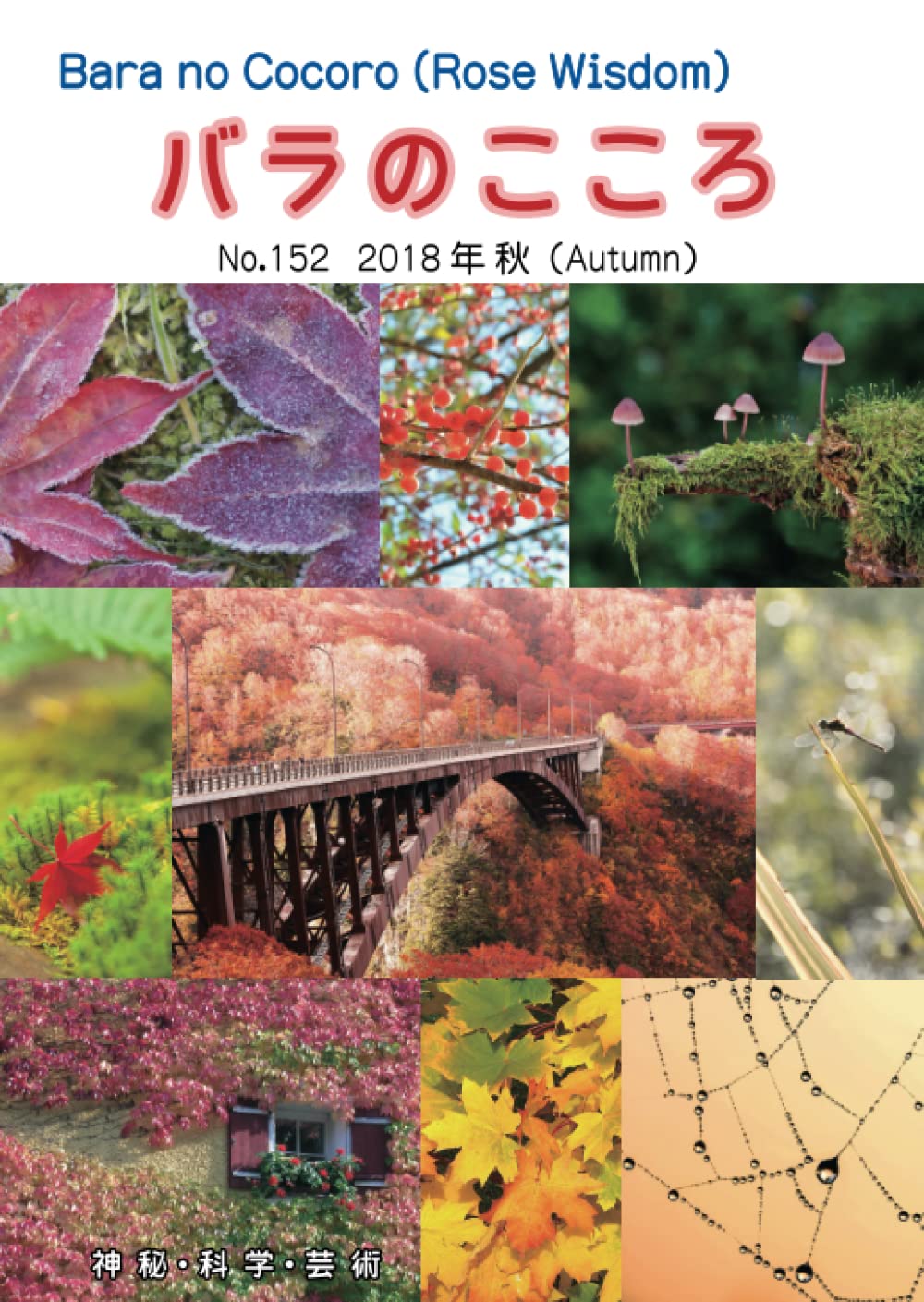 Amazon.co.jp: バラのこころ No.152: (Rose Wisdom) 2018年秋 : シャーリー・エルスビー, ポール ...