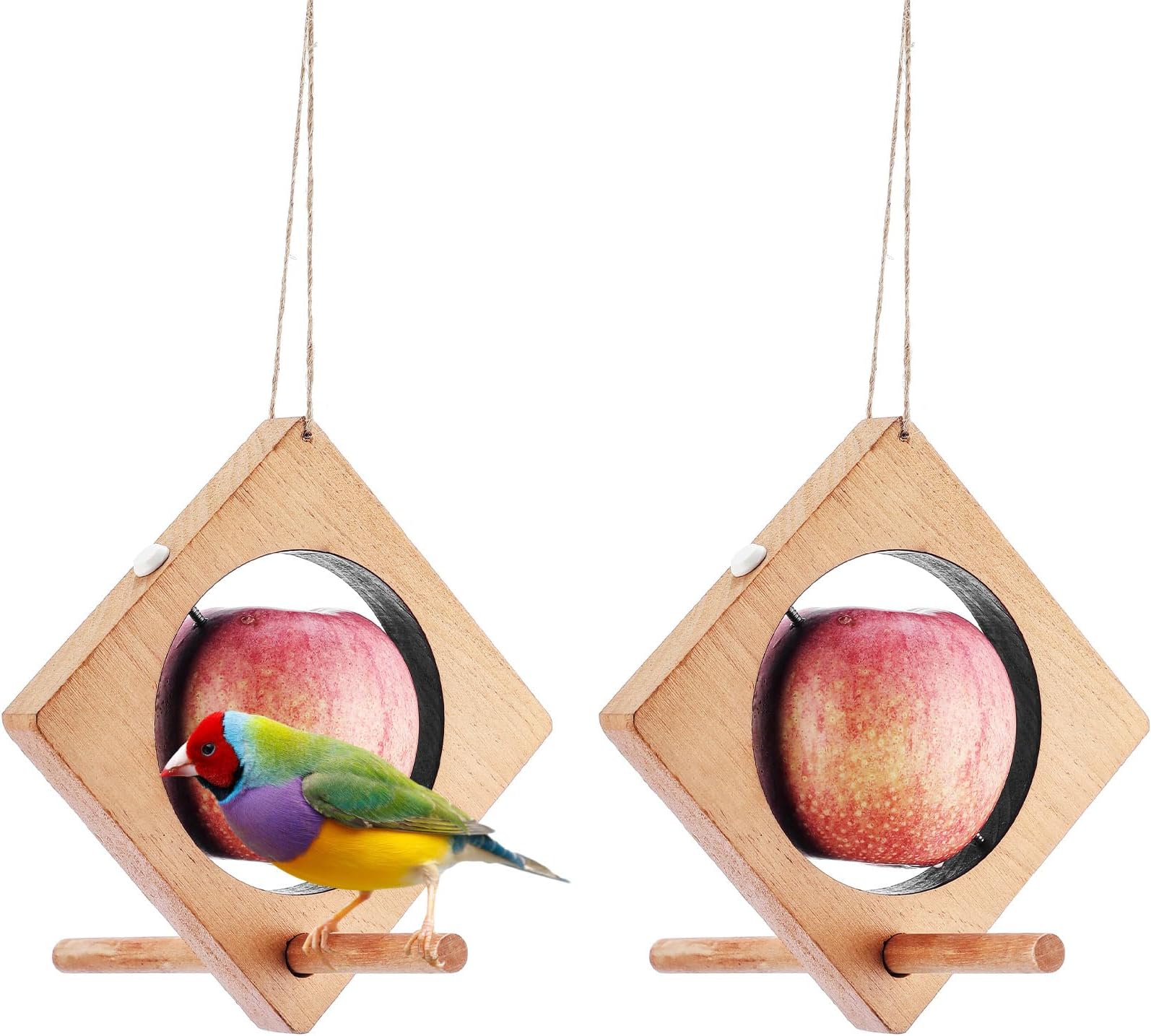 Amazon.com : Sekoso Hanging Fruit Feeder for Birds for Outdoors, Garden ...