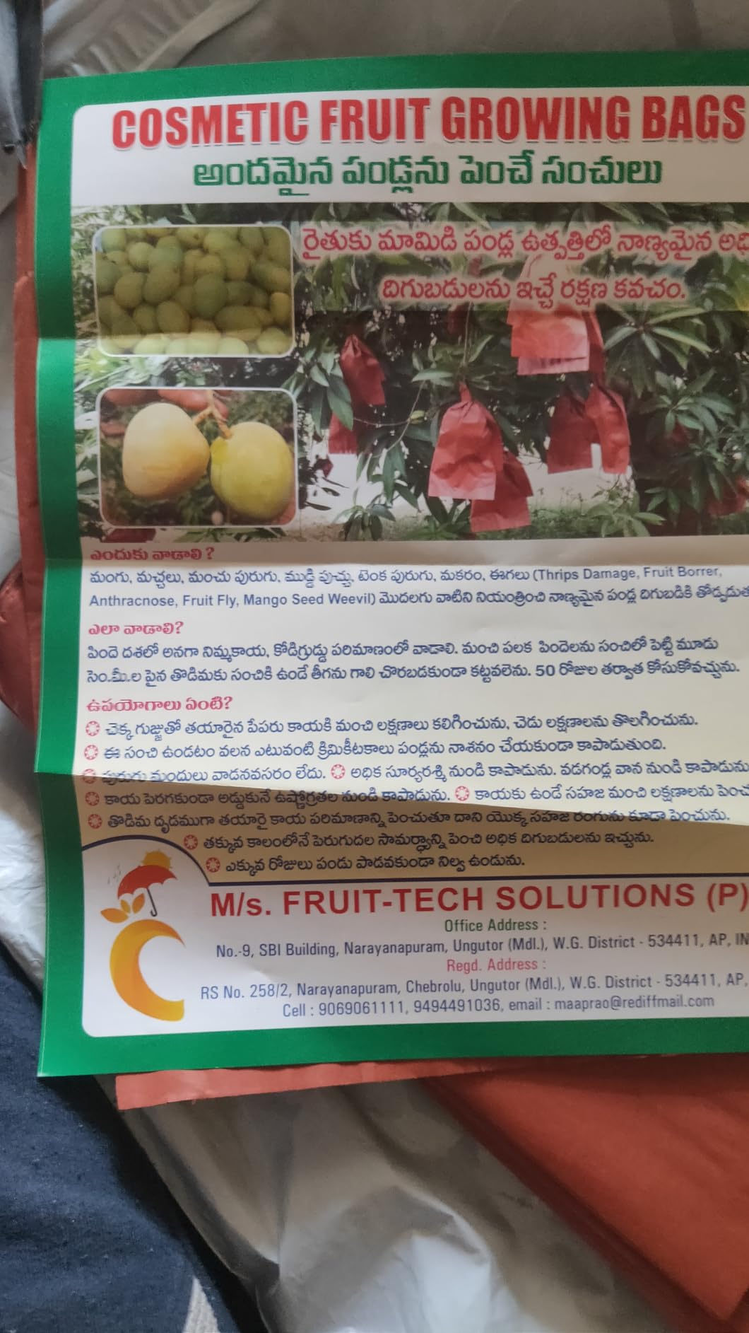 Fruit Tech Mango Protection Growth Covers and Bags (20X29 cm, Brick Red ...