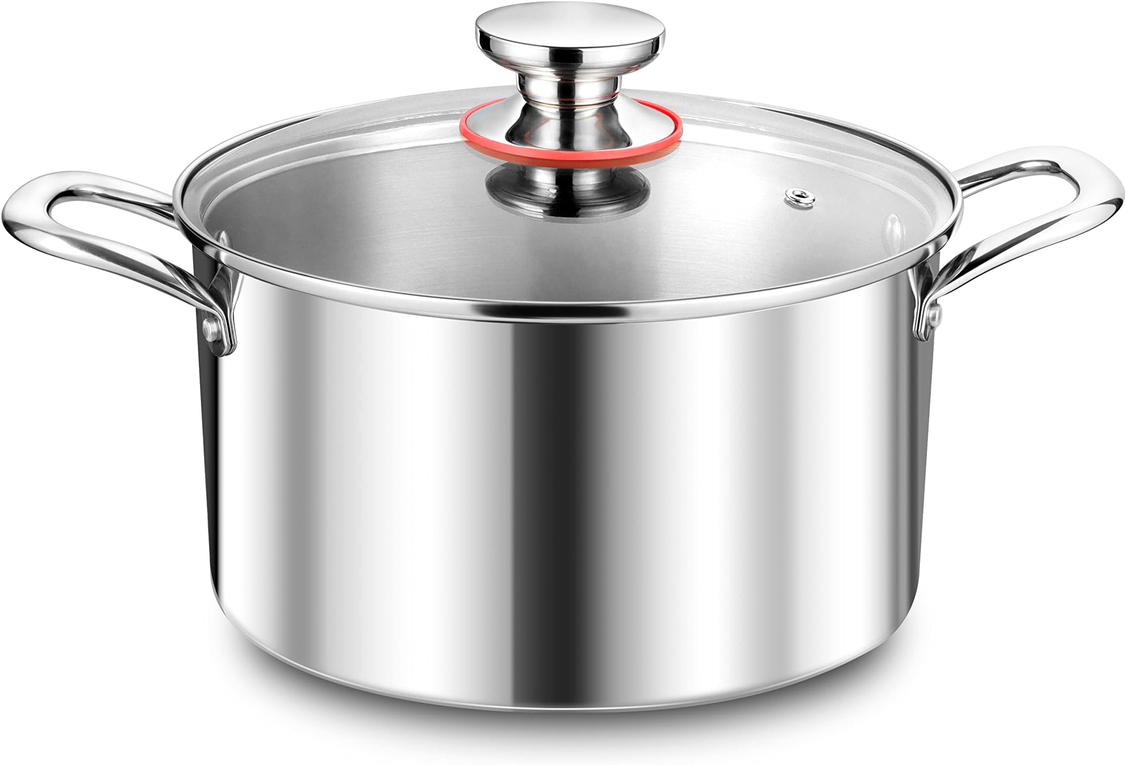 Amazon.com: Nonstick Stockpot With Lid 5 Quart, Professional Stainless ...