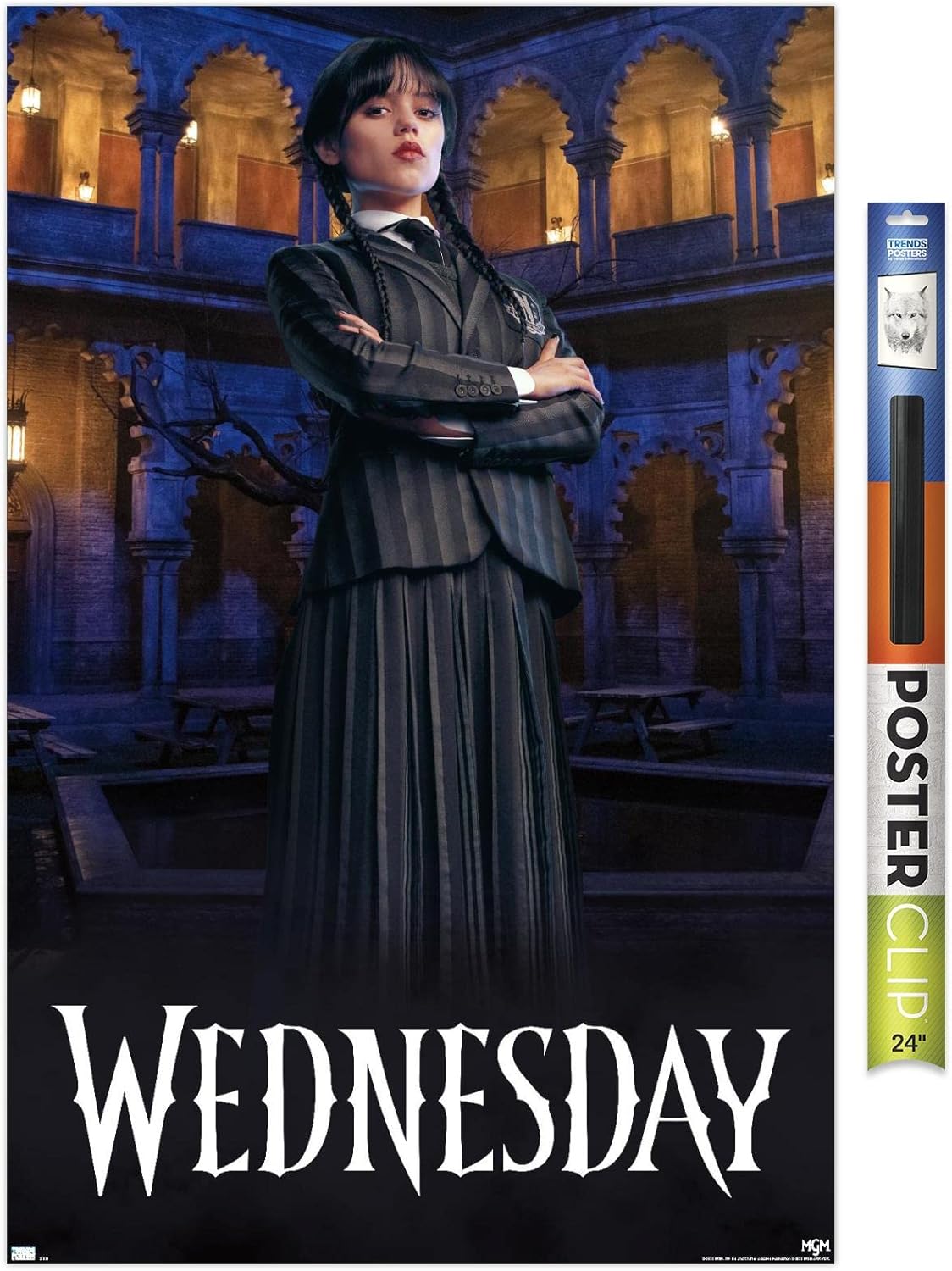Amazon.com: Wednesday - Portrait Wall Poster, 34L" x 22.4W", Poster ...