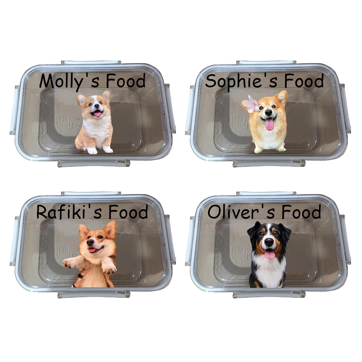 Amazon.com: Personalized Dog Food Storage Can Keep Fresh & Moisture ...