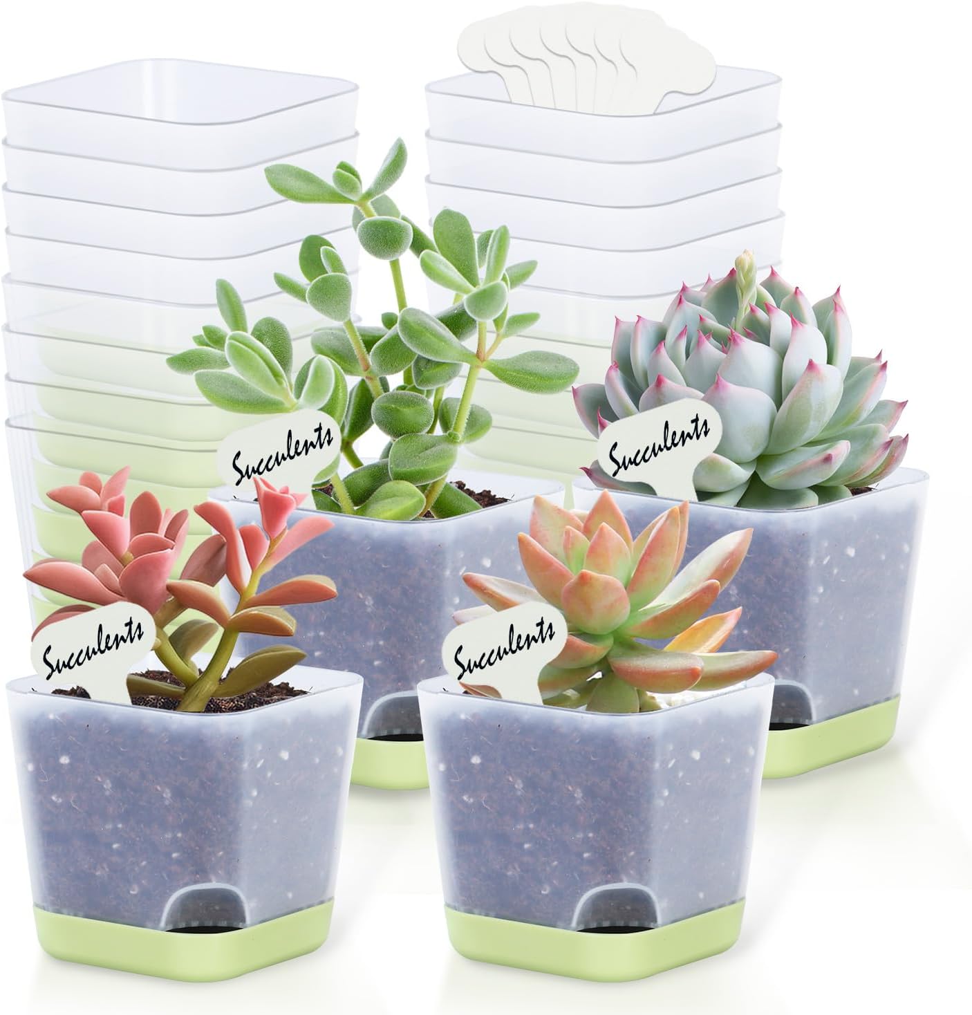 Amazon.com: Oliz 20 Pack 3 Inch Plastic Succulent Pots with Drainage ...