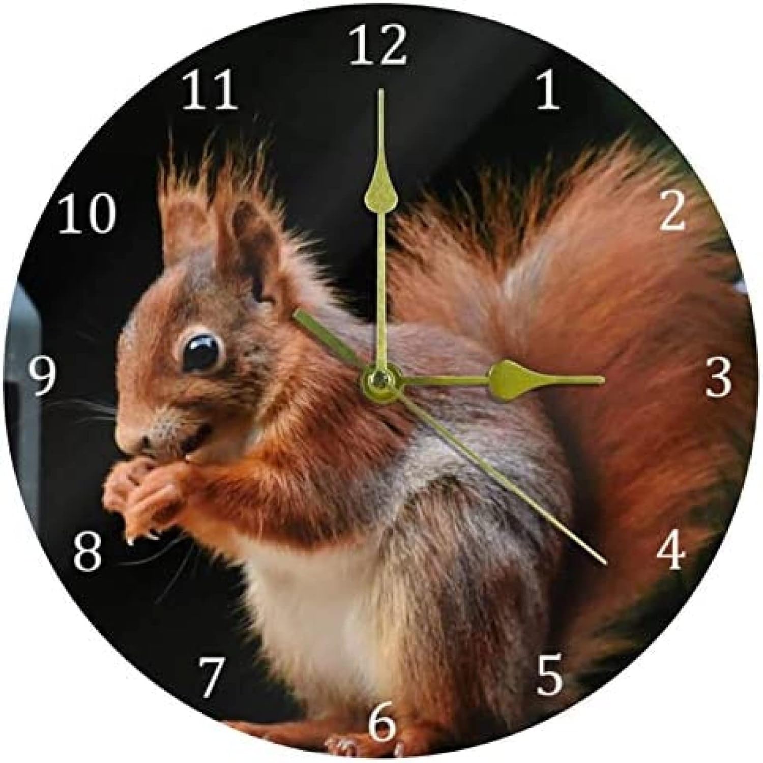 Squirrel Animal Wall Clock, 12 Inch Silent Non Ticking Quartz Battery ...