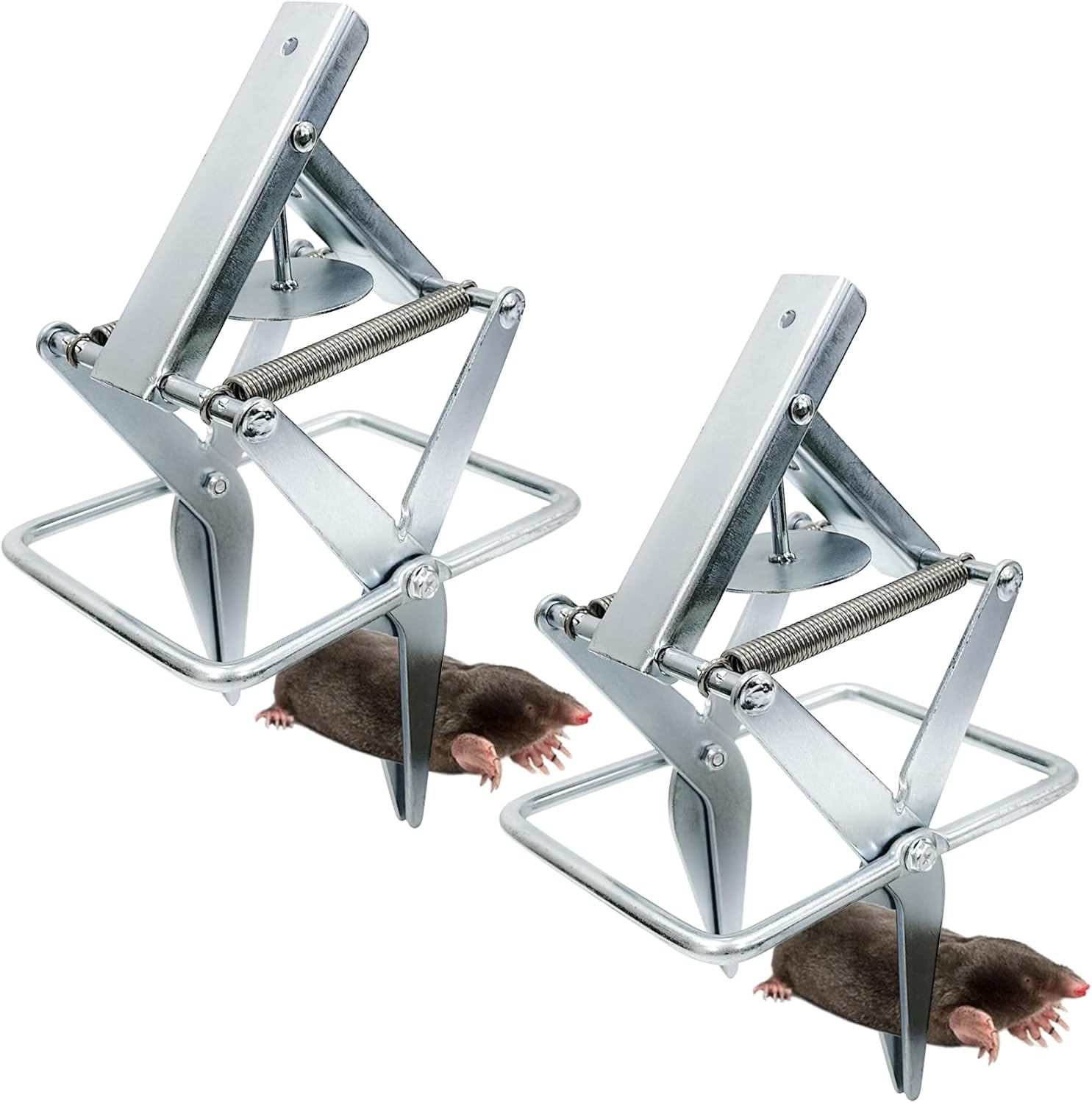 Amazon.com : 2 Pack 𝙐𝙥𝙜𝙧𝙖𝙙𝙚𝙙 Mole Traps, Scissor Mole Trap, Reusable ...