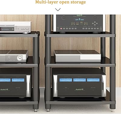 Amazon.com: LEVNARY Media Cabinet with Door, Black 5-Tier Stereo ...