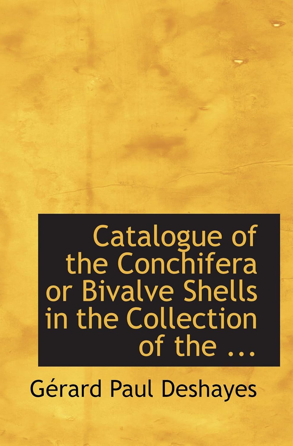 Amazon.com: Catalogue of the Conchifera or Bivalve Shells in the ...