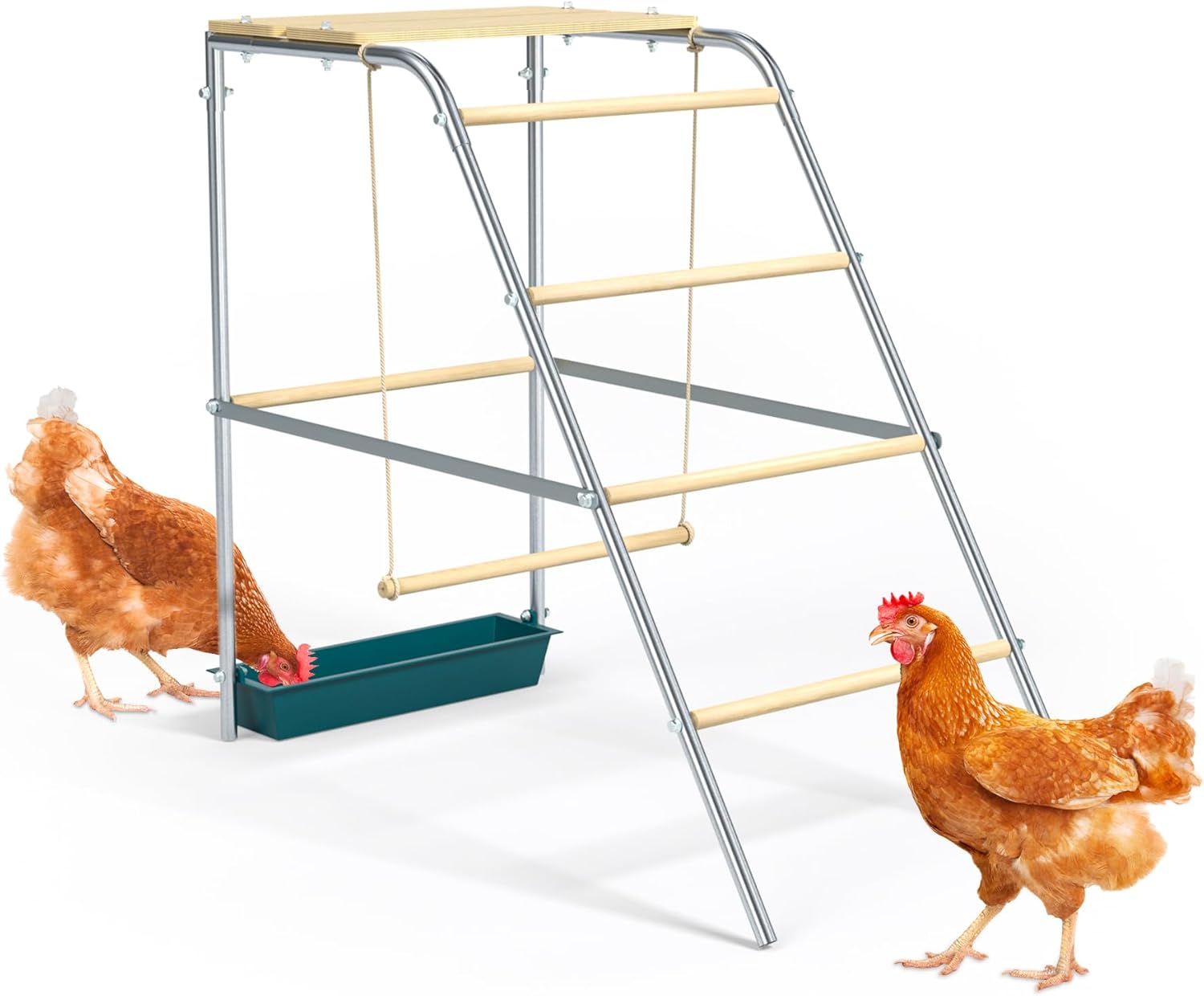 Amazon.com: Chicken Coop Roosting Perch Essentials：Perfect for Backyard ...