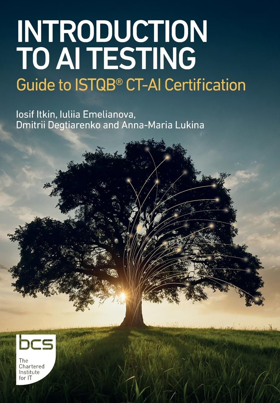 Introduction to AI Testing: Guide to ISTQB(R) CT-AI Certification