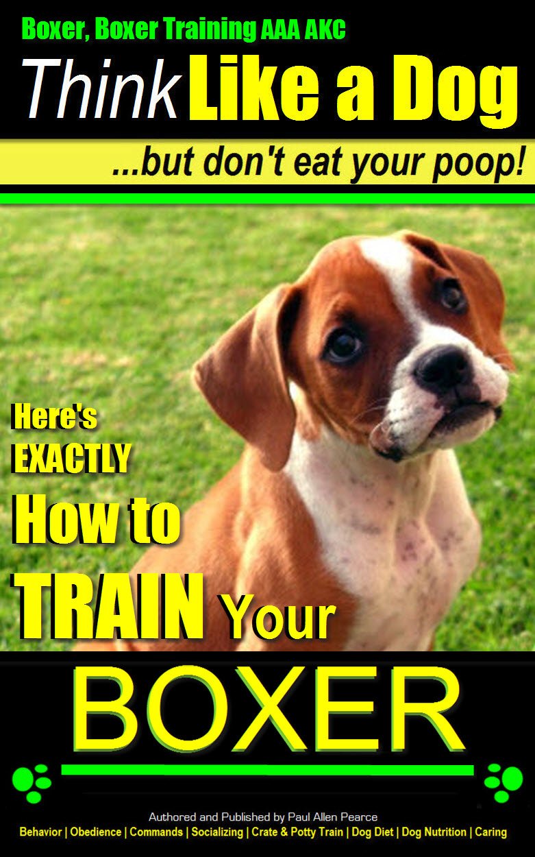Boxer, Boxer Training AAA AKC: "Think Like a Dog...But Don't Eat Your ...