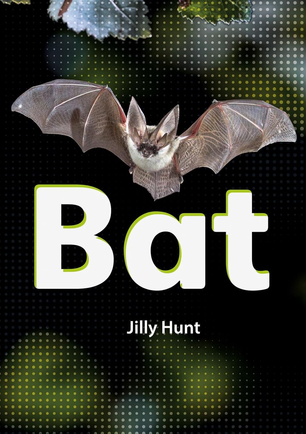 Bat - high-low decodable reader for ages 7+ (Striders Phonics Readers ...