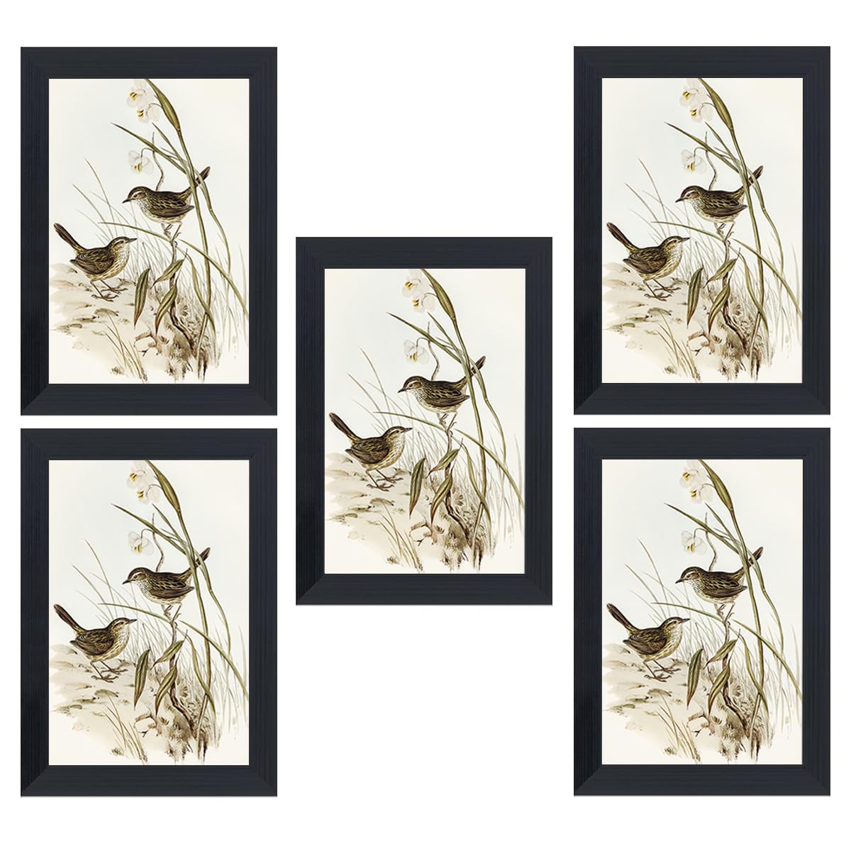 Set of 5 - Black 8" x 10" Picture Frame With Glass Front Frame ...