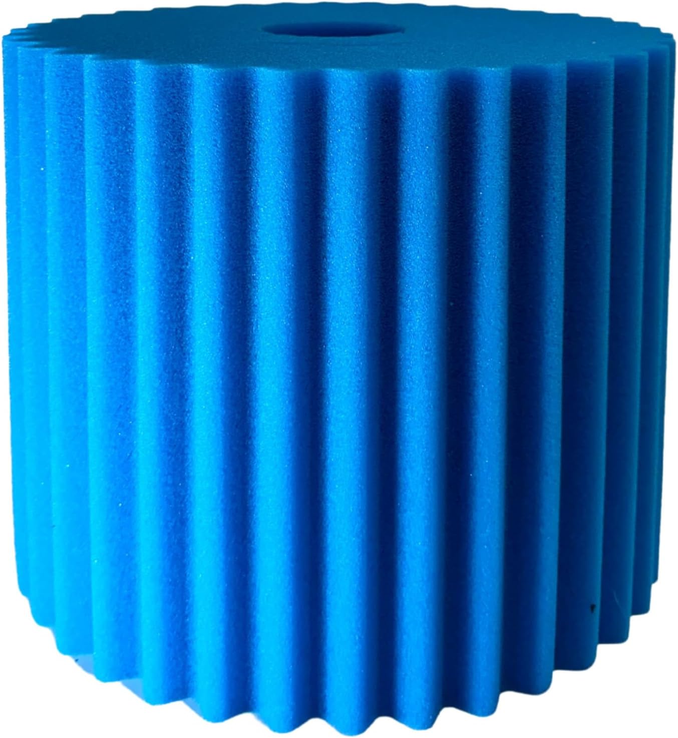 Amazon.com: Nispira 506B Foam Dust Filter Replacement for Electrolux ...