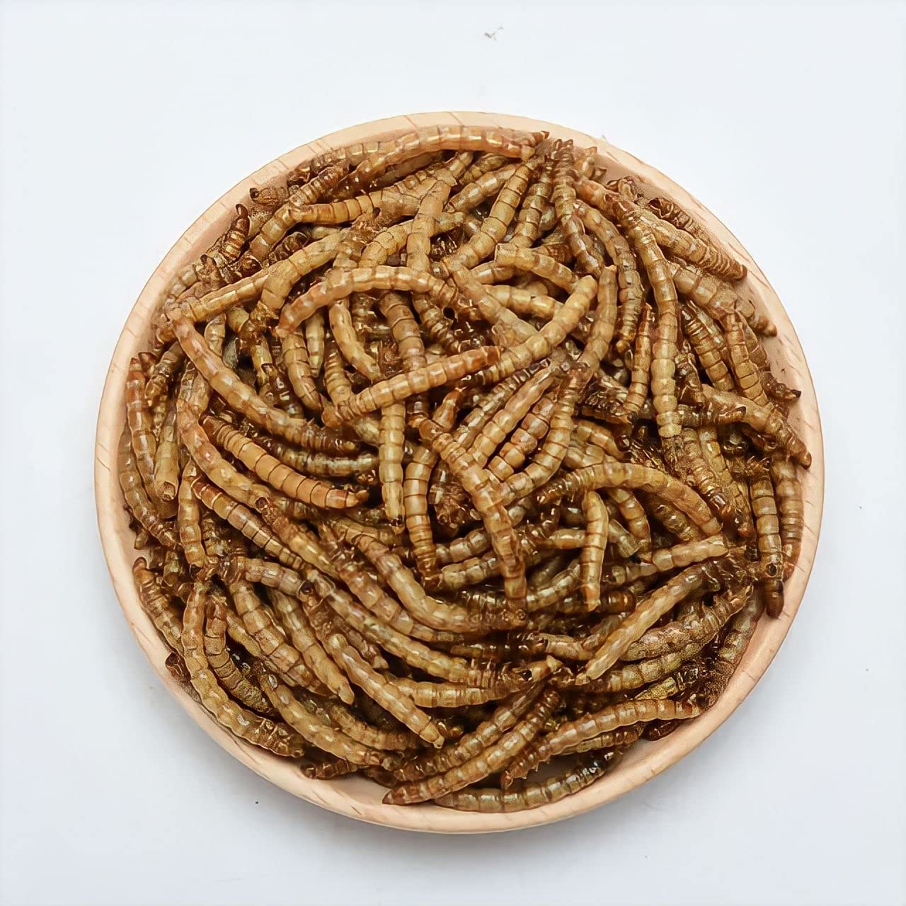 Canoodle Natural Dried Food for Medium and Large Size Aquarium Fish ...