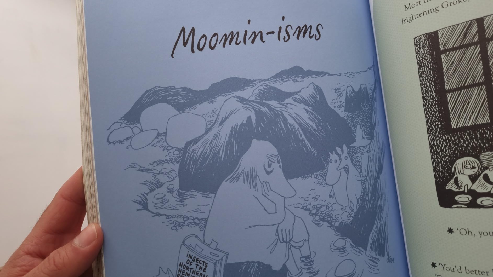 The Moomins: The World of Moominvalley : Books, Macmillan Adult's ...