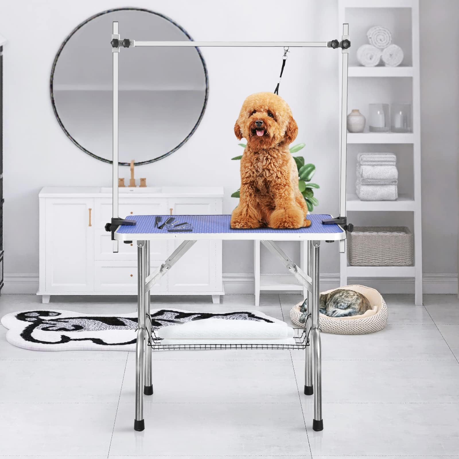 Amazon.com: JETEAGO 36 Inch Professional Adjustable Pet Grooming Table ...