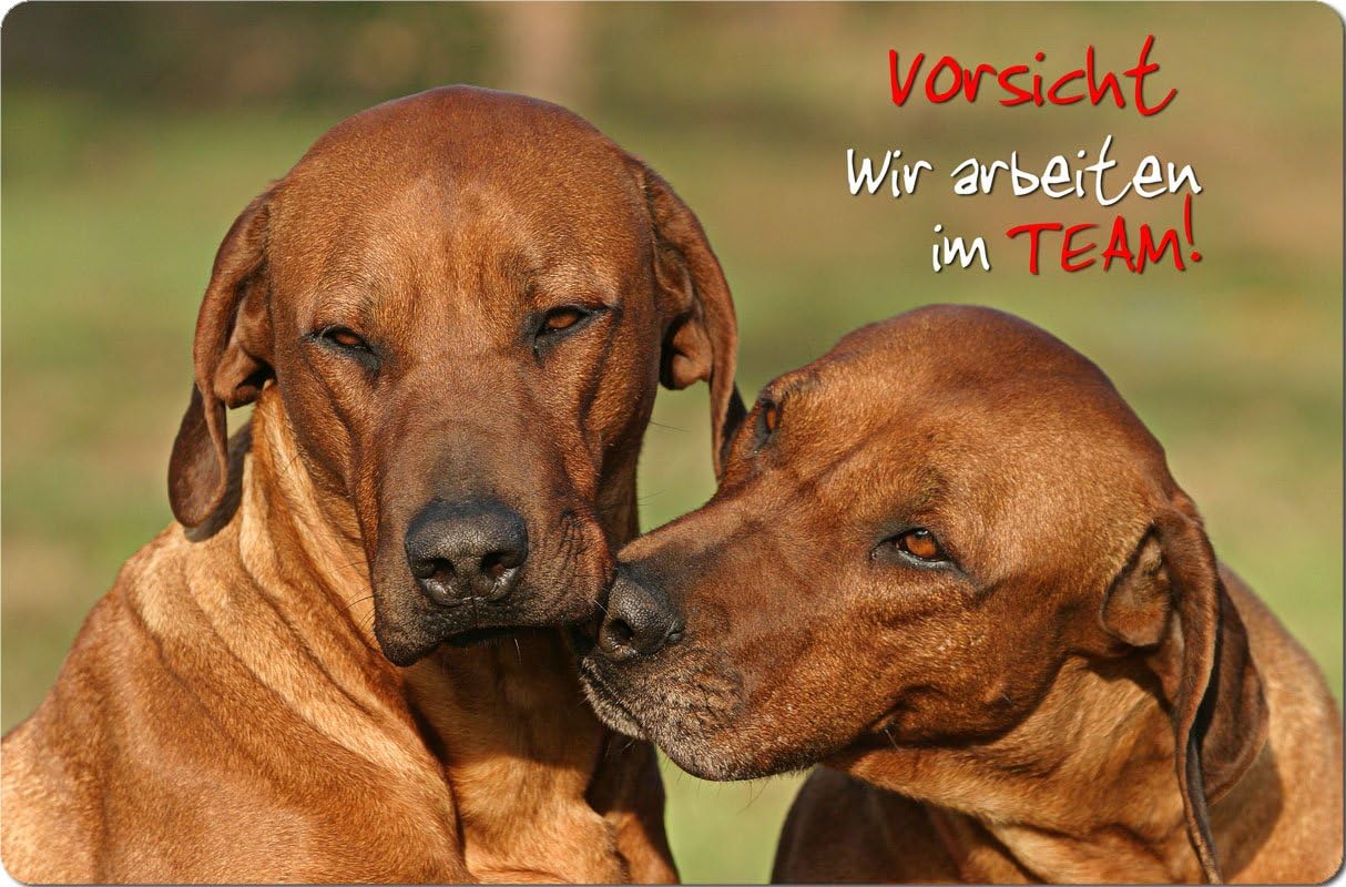 RHODESIAN RIDGEBACK - Metall WARNSCHILD Schild Hundeschild Sign - RRB ...