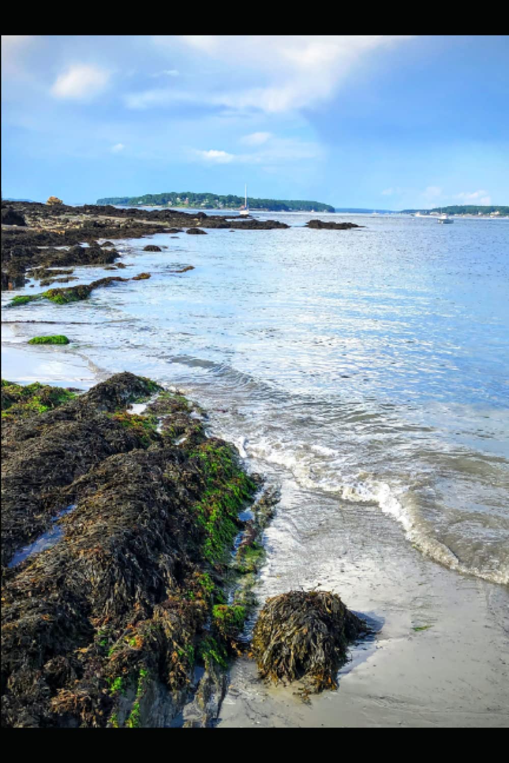 Moby Dick: Comic Sans: or The Whale: Melville, Herman: 9798365940727 ...