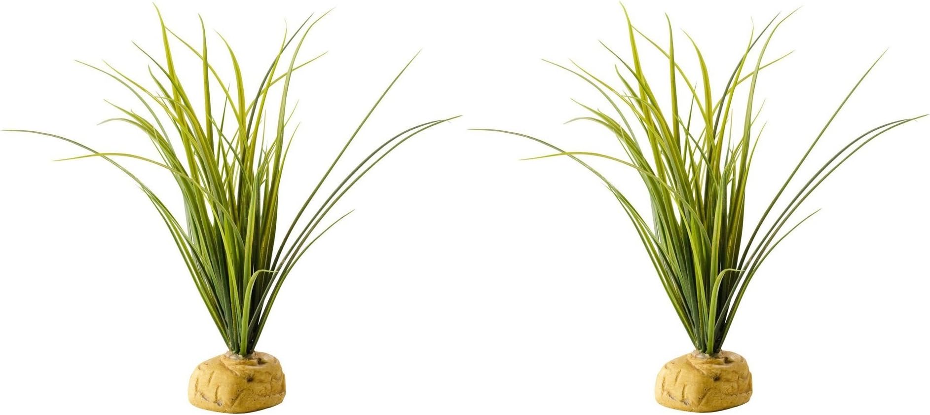 Amazon.com : Exo Terra Turtle Grass Plant : Pet Habitat Decor Plants ...