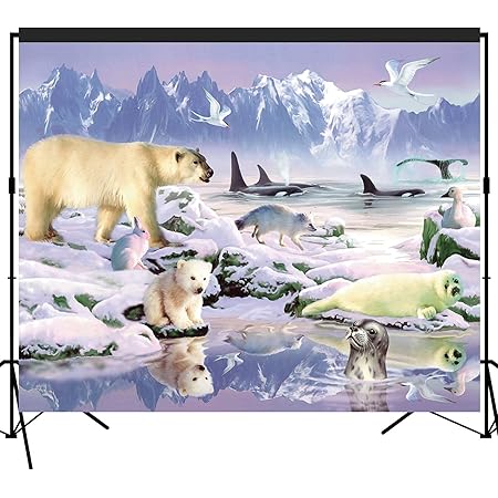 Amazon.com : Baocicco 7x5ft White Iceberg Backdrops for Photography ...