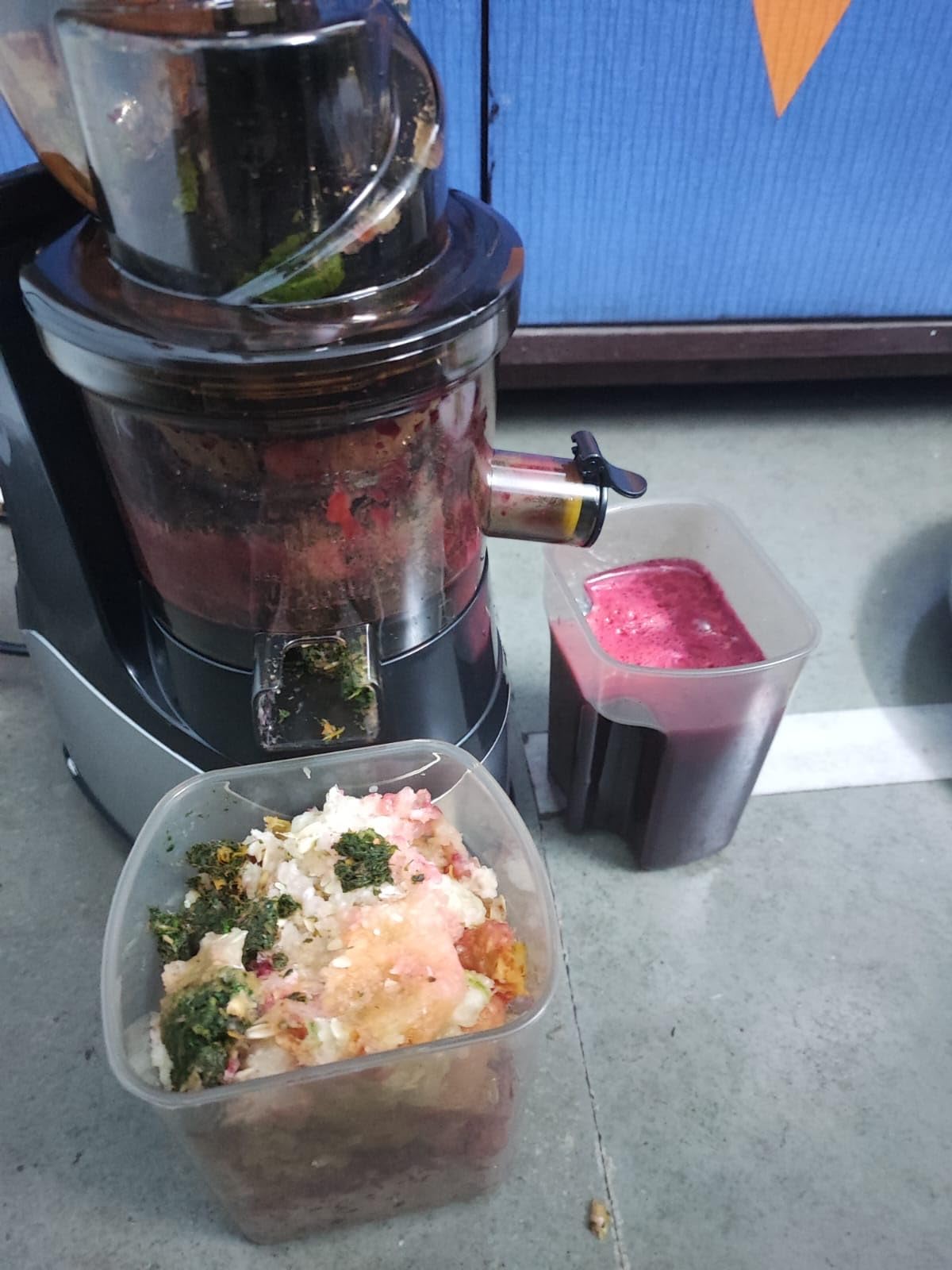 Cookwell Cold Press Slow Juicer and Ice Cream Maker, Stainless Steel ...