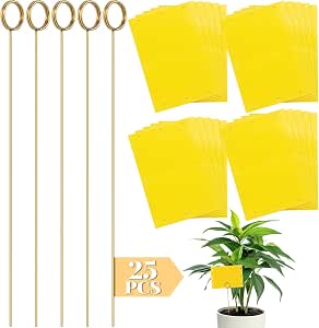 Qualirey 50 Pcs Yellow Sticky Traps Kit for Plant Fungus Gnat Includes ...
