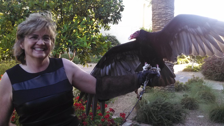 Amazon.com: Balinda Fortman: books, biography, latest update