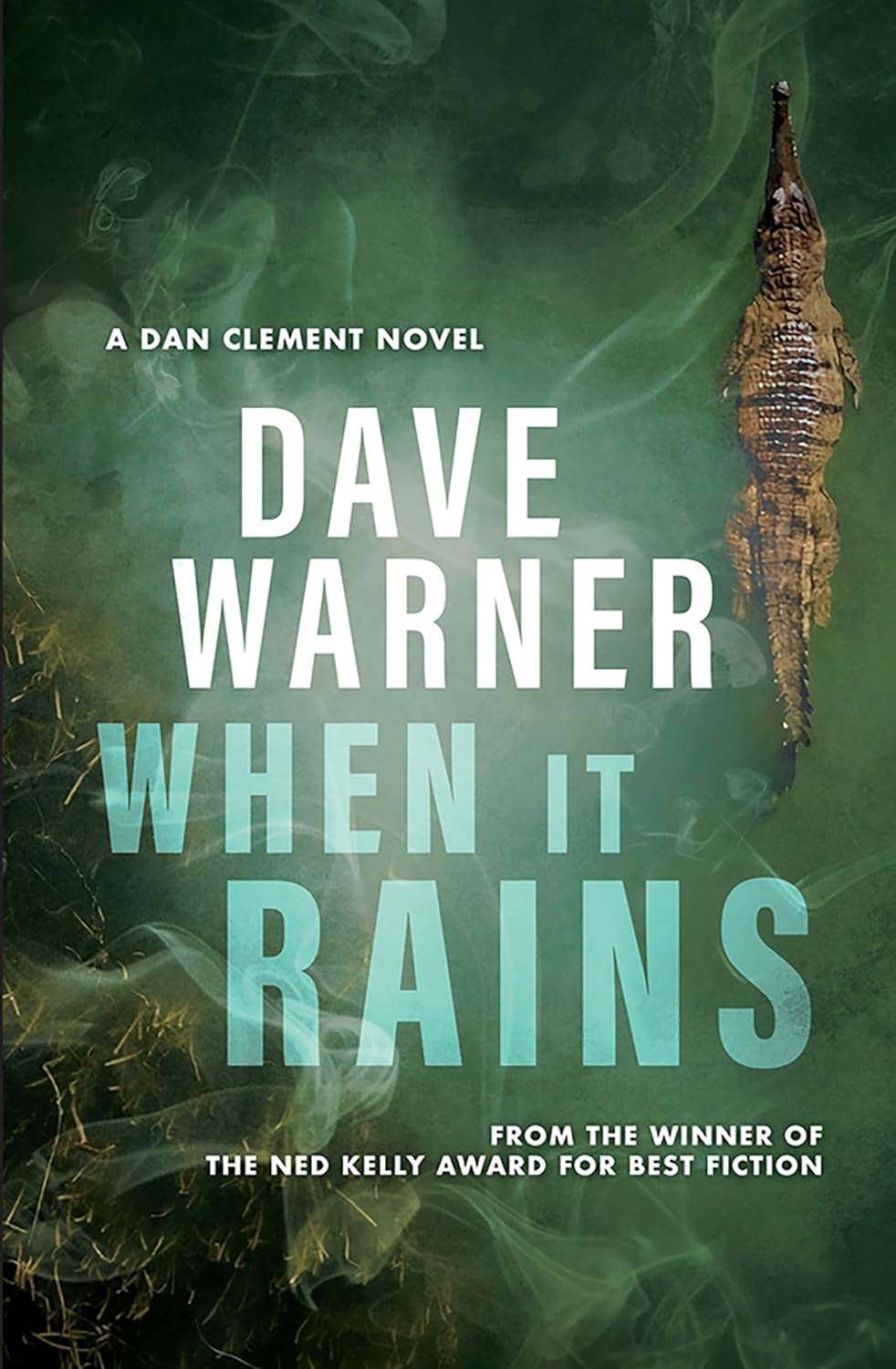 When It Rains (Dave Warner crime) eBook : Warner, Dave: Amazon.com.au ...