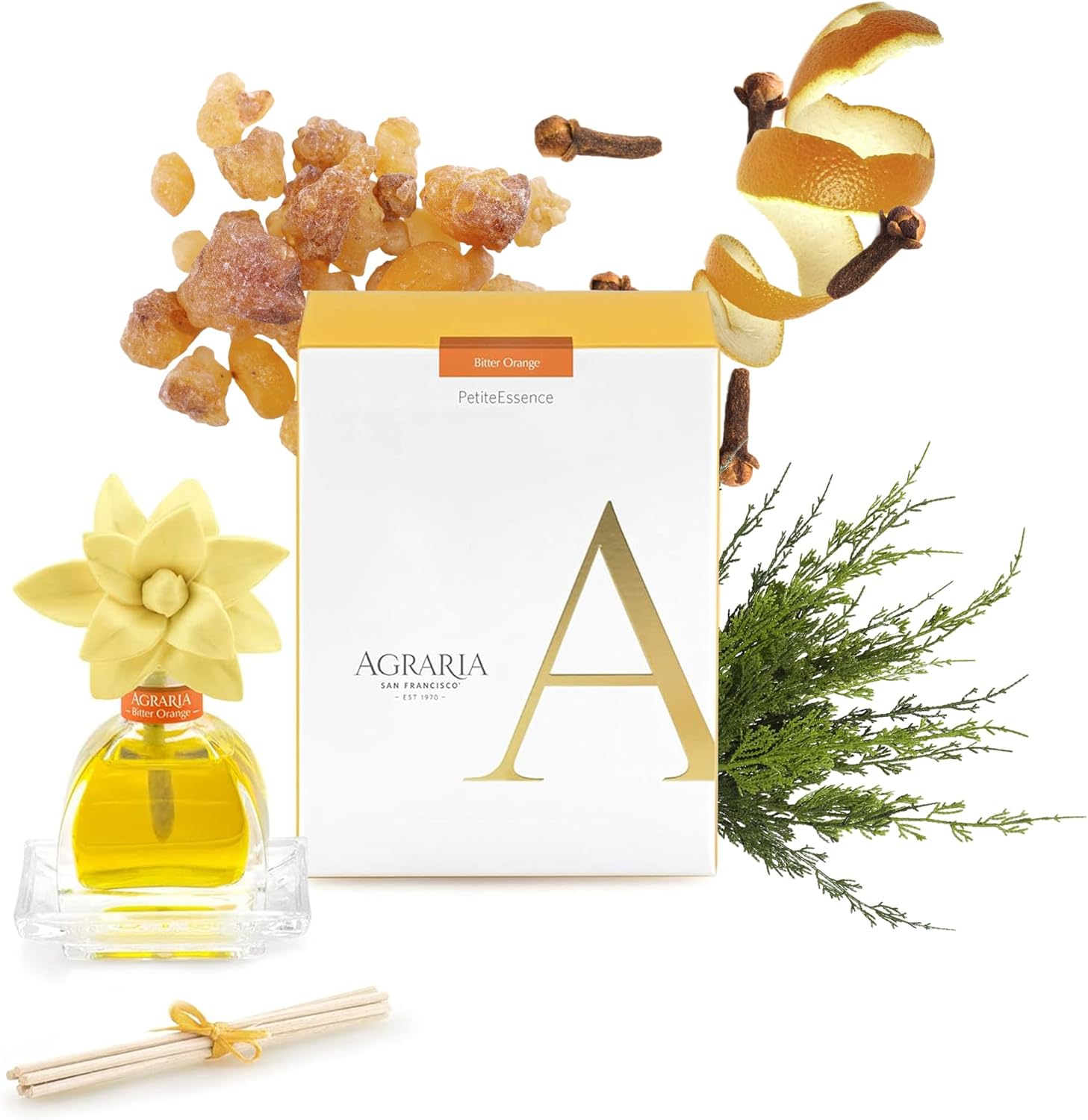 Amazon.com: AGRARIA PetiteEssence Flower and Reed Diffuser Set, Hand ...