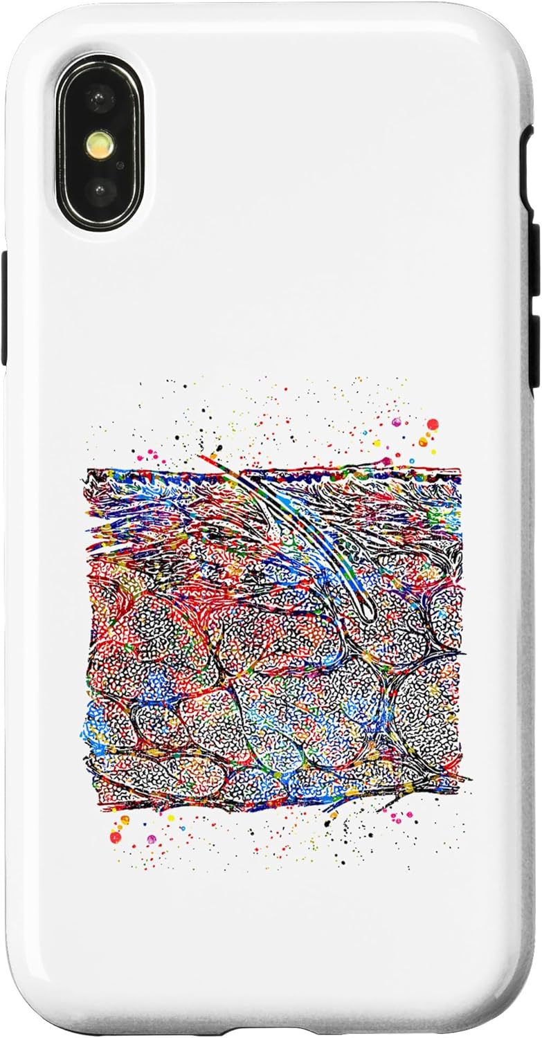 Amazon.com: iPhone X/XS Cross Section of the Skin Epidermis Histology ...