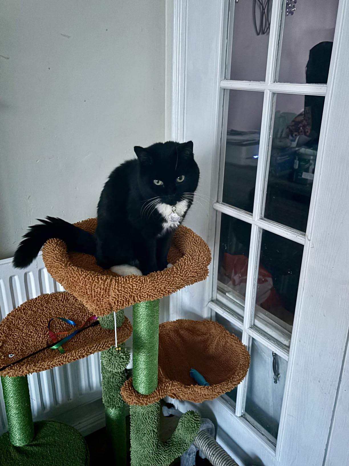 FoxHunter 230-276 cmH Cactus Plush Ceiling Cat Tree Large Cat Climbing Tower Furniture Kitten ...