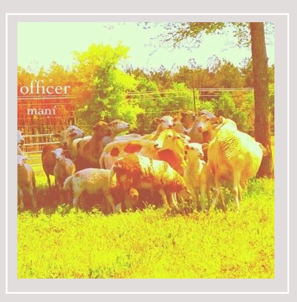 Amazon.com: Officer: CDs & Vinyl