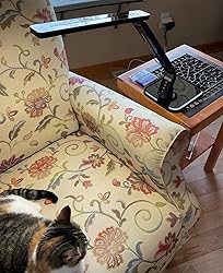 MAGIC LEAVES Desk Lamp, LED Dimmable Reading Light with Adjustable ...