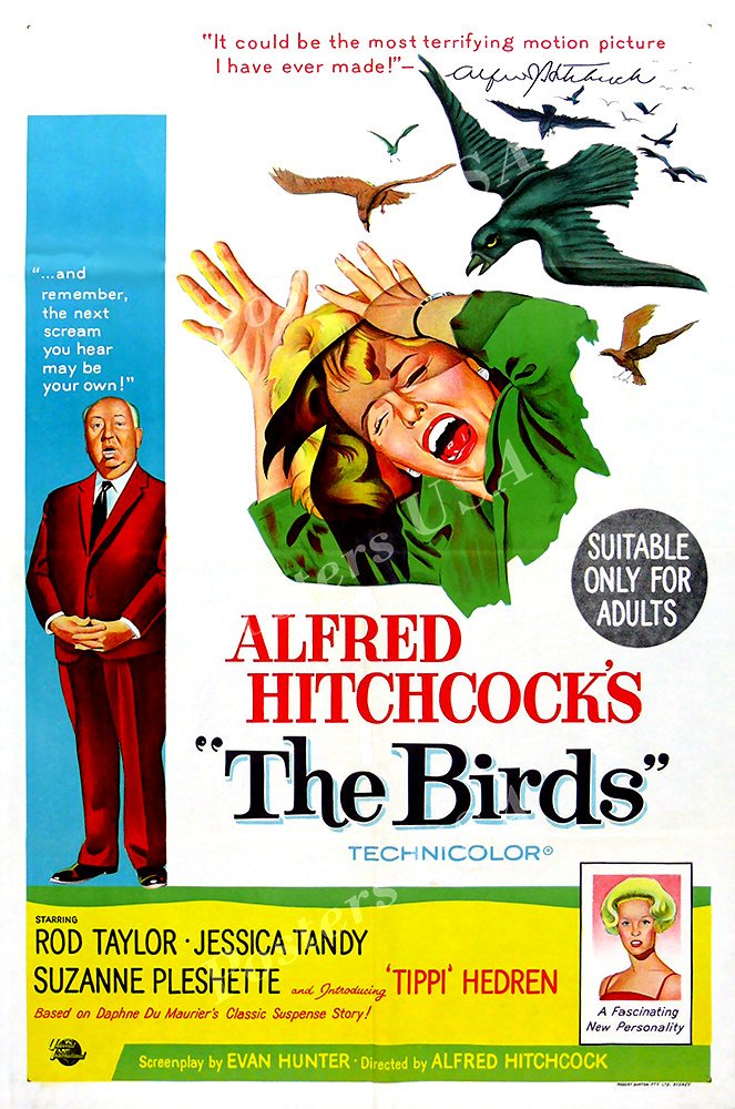Birds Movie Poster