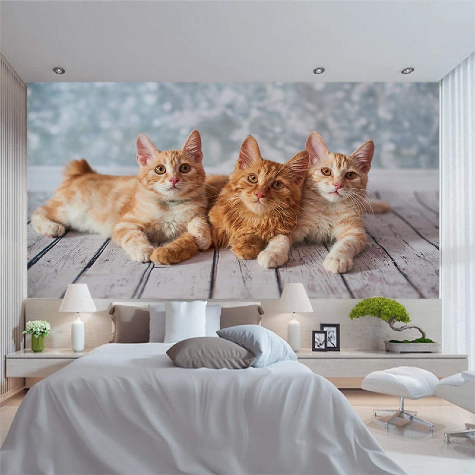 Cool 3d Desktop Wallpaper Cat HD 3d Cat Wallpapers | Peakpx