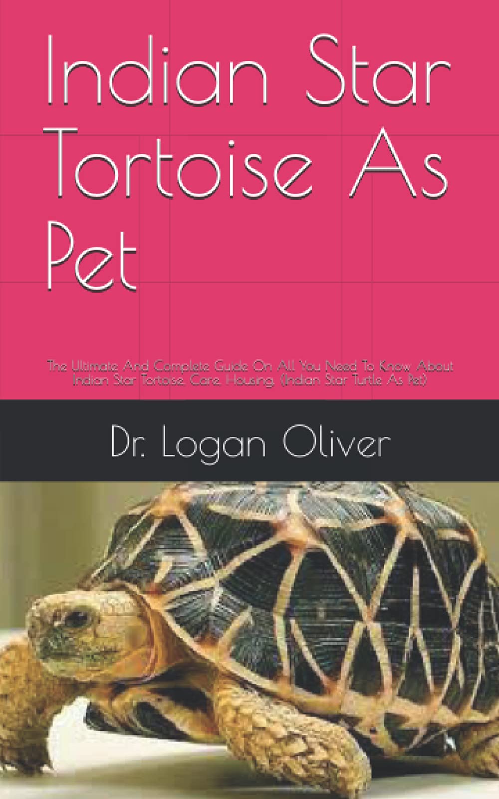Buy Indian Star Tortoise As Pet: The Ultimate And Complete Guide On All ...