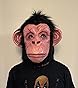 Amazon.com: SANZHIGUO Monkey Mask Full Head Animal Mask for Halloween ...