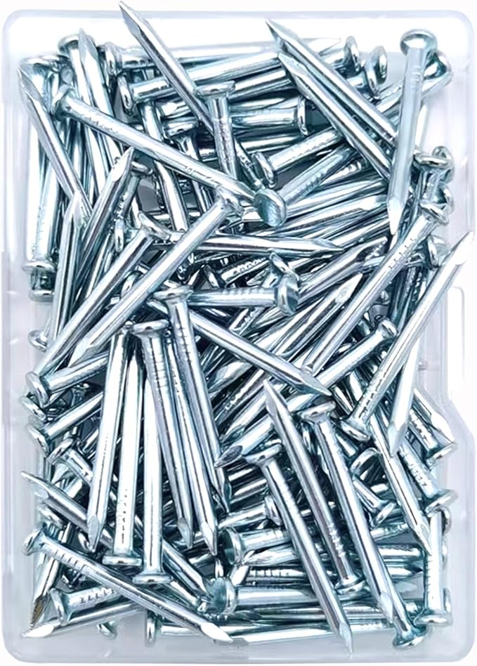 ELOOGAA 110pcs 1 inch Wall Nails,Galvanized Hardware Nails,Good ...
