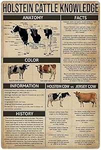 Amazon.com: Holstein Cattle Knowledge Pictures Knowledge Wall Decor ...