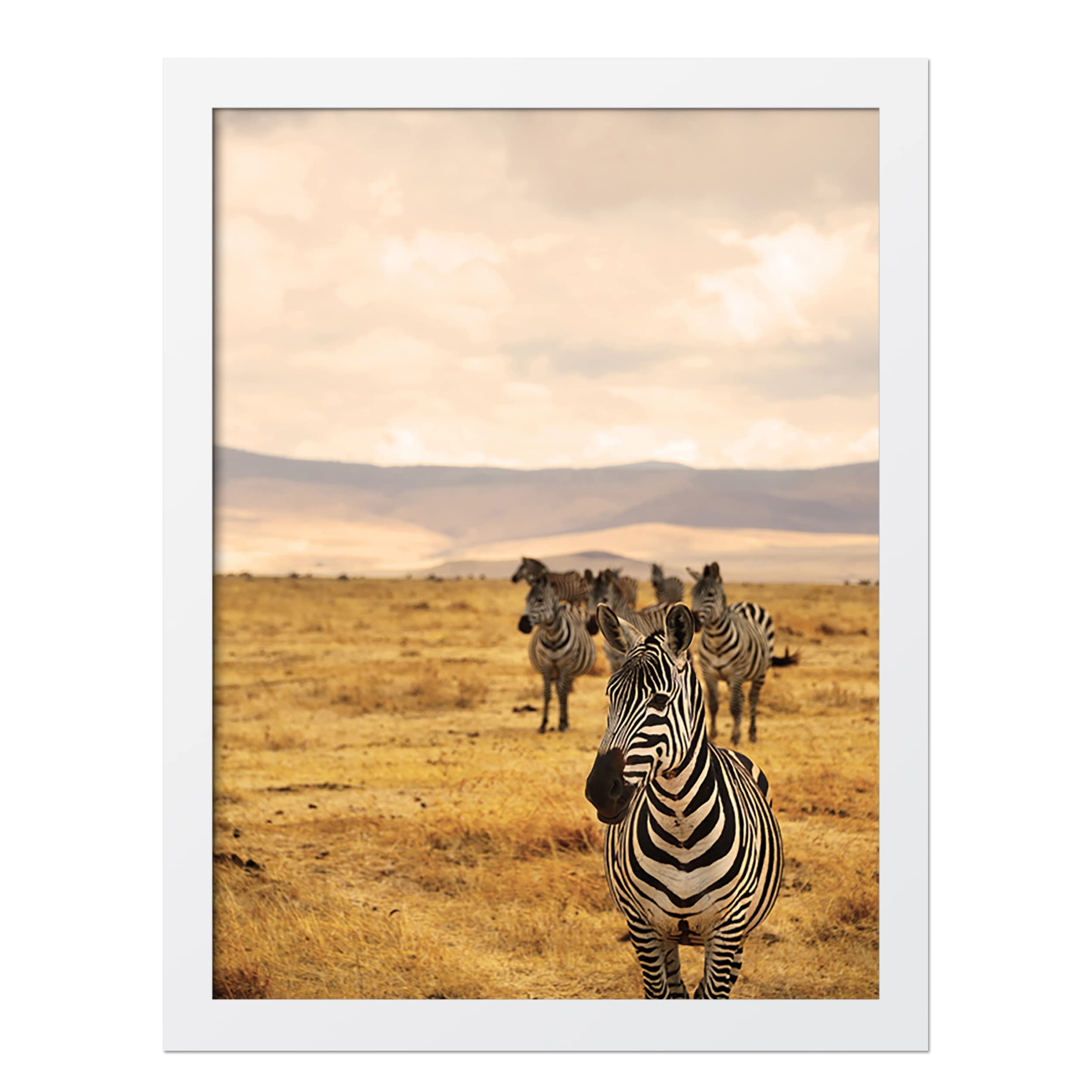 JD ART GALLERY Poster Frame 18x24 White Handcrafted With Eco friendly JD ART GALLERY Poster Frame 18x24 White Handcrafted With Eco friendly