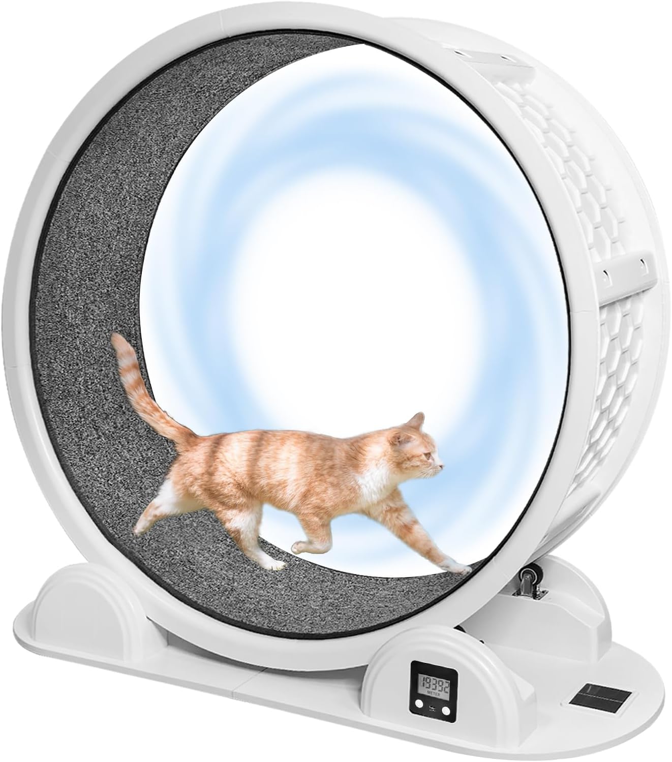 Amazon.com : Nordic Beast 48'' XL Cat Wheel - Cat Wheels for Indoor ...